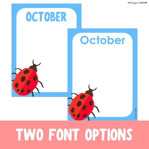 Editable Classroom Birthday Chart and Bulletin Board Display | Bright ...