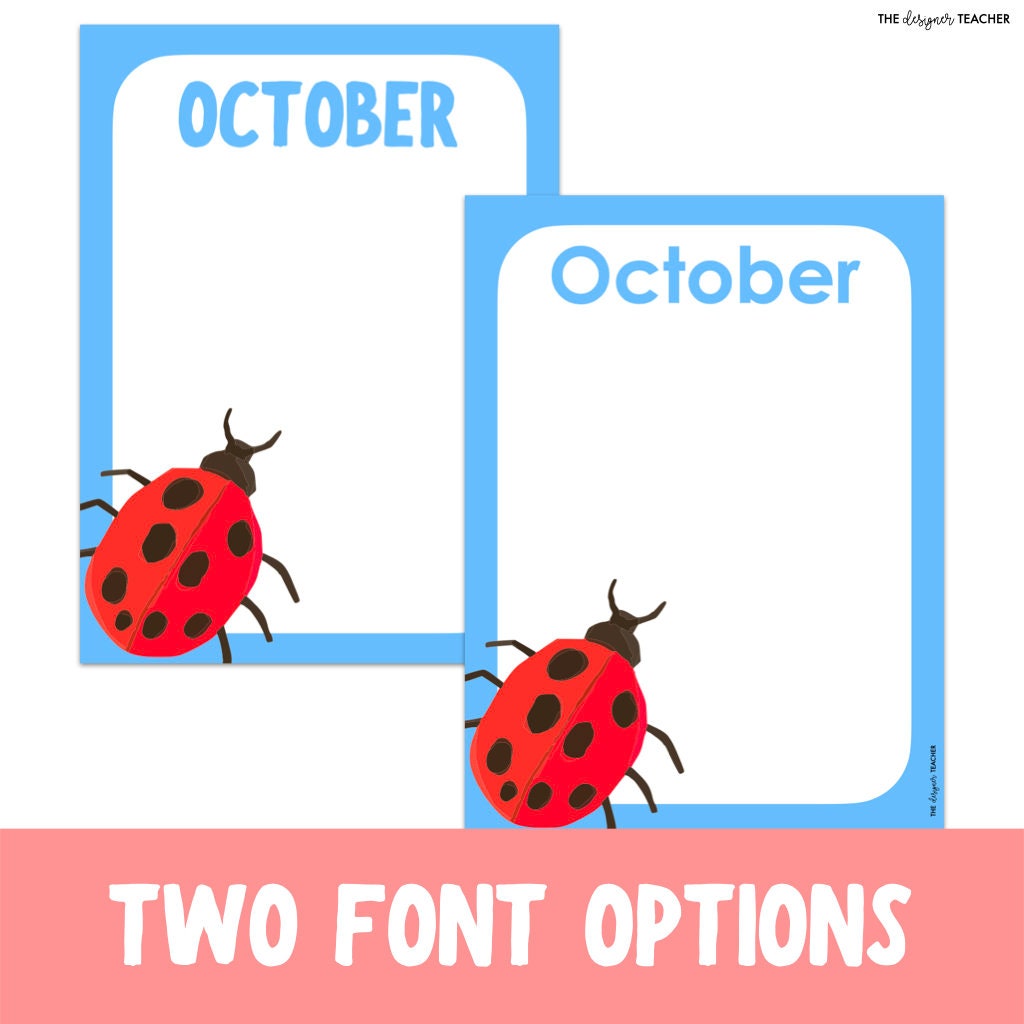 Classroom Birthday Bulletin Board Display Bright Garden Theme Classroom ...