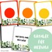 Plant Theme Classroom Color Posters Botanical Classroom Decor - Etsy
