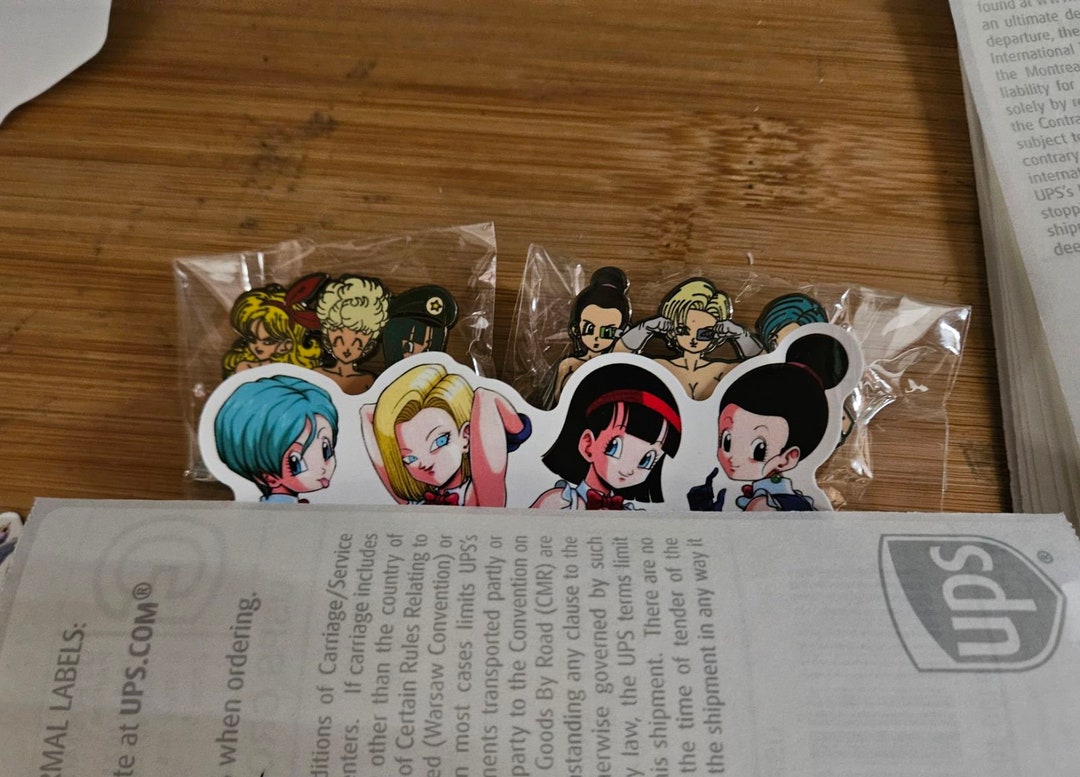 Anime Waifu Pins Set - Etsy