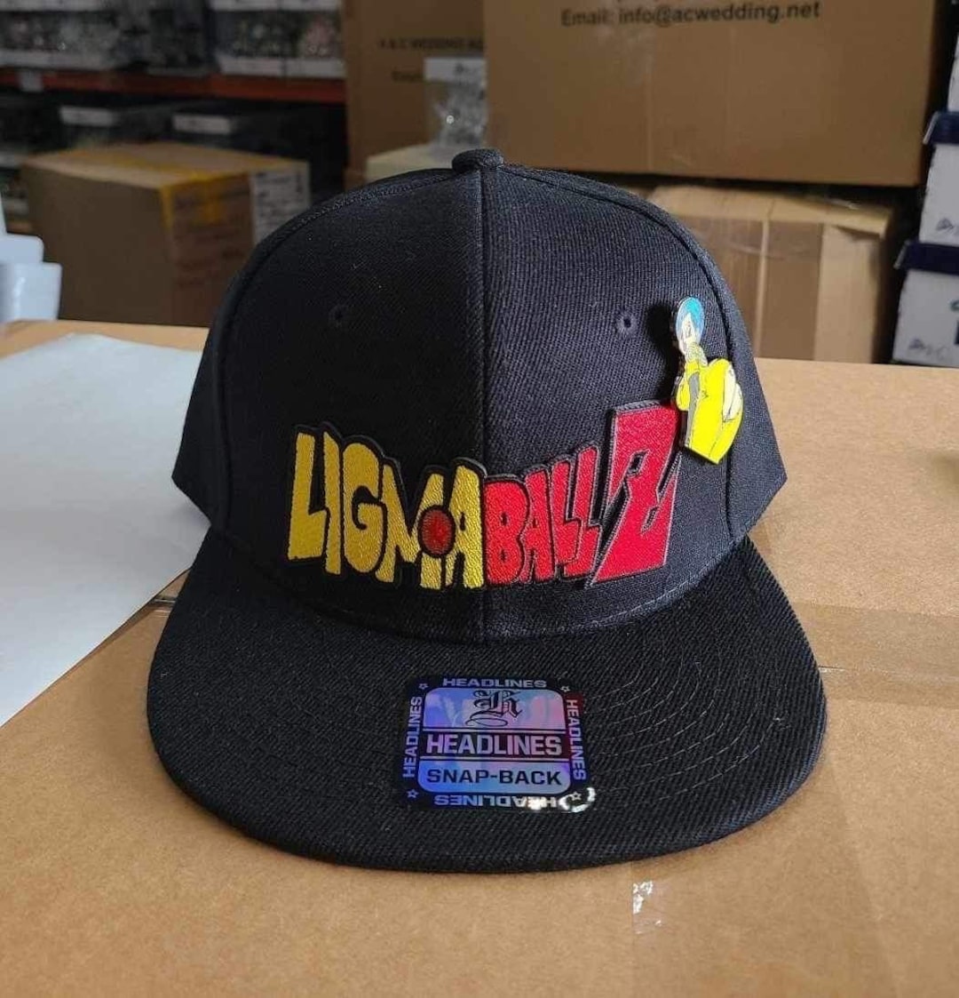 Adjustable Funny Meme Hat With Pin - Etsy