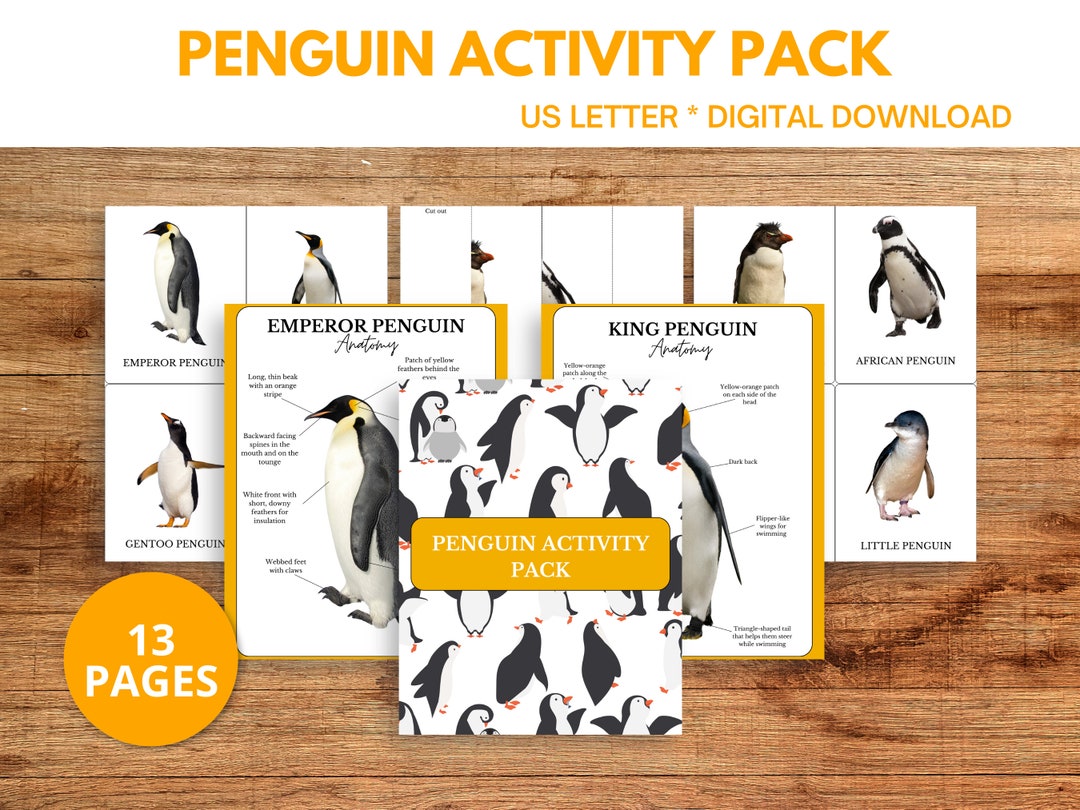 Penguin Activity Preschool Curriculum, Toddler Activities, Maze, Word ...