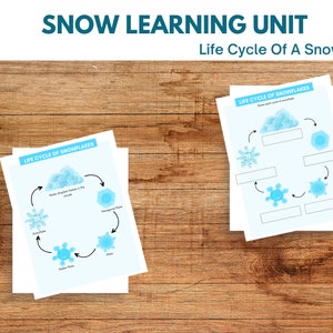 Snow Learning Unit Study, Busy Book Pages, Homeschool Unit Study ...