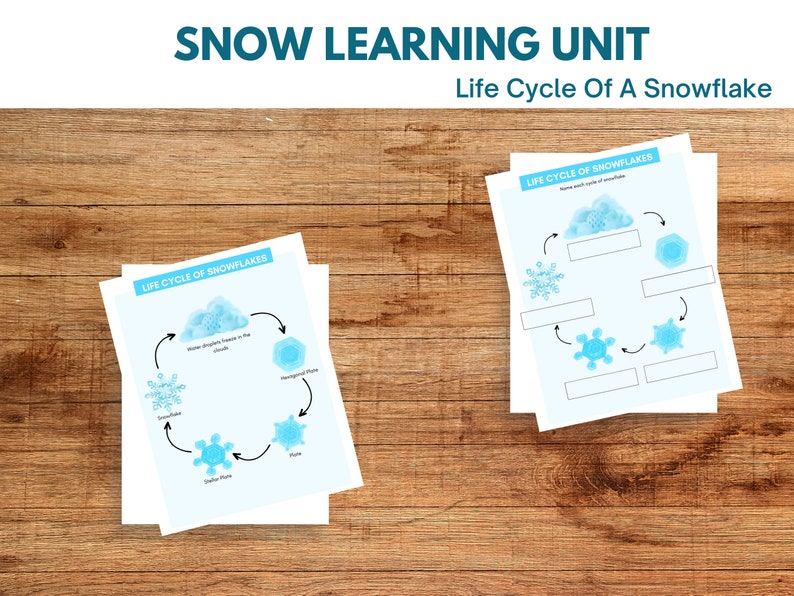 Snow Learning Unit Study, Busy Book Pages, Homeschool Unit Study ...