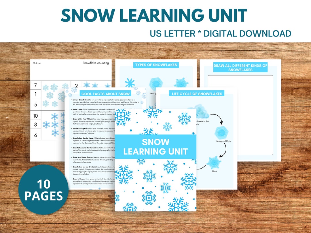 Snow Learning Unit Study, Busy Book Pages, Homeschool Unit Study ...