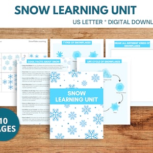 Snow Learning Unit Study, Busy Book Pages, Homeschool Unit Study ...