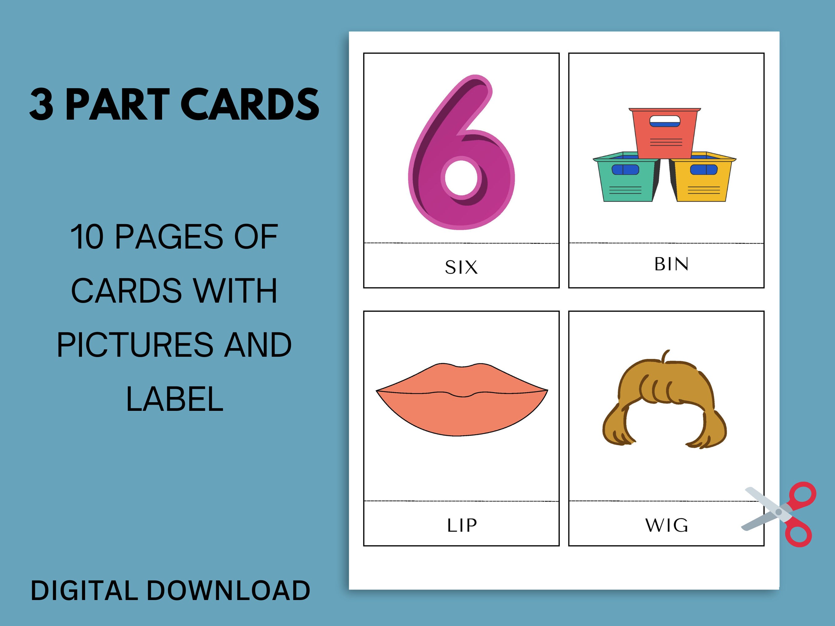 Phonetics CVC Flashcards, Preschool Curriculum Homeschool Resources, 3 ...