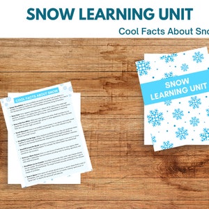 Snow Learning Unit Study, Busy Book Pages, Homeschool Unit Study ...