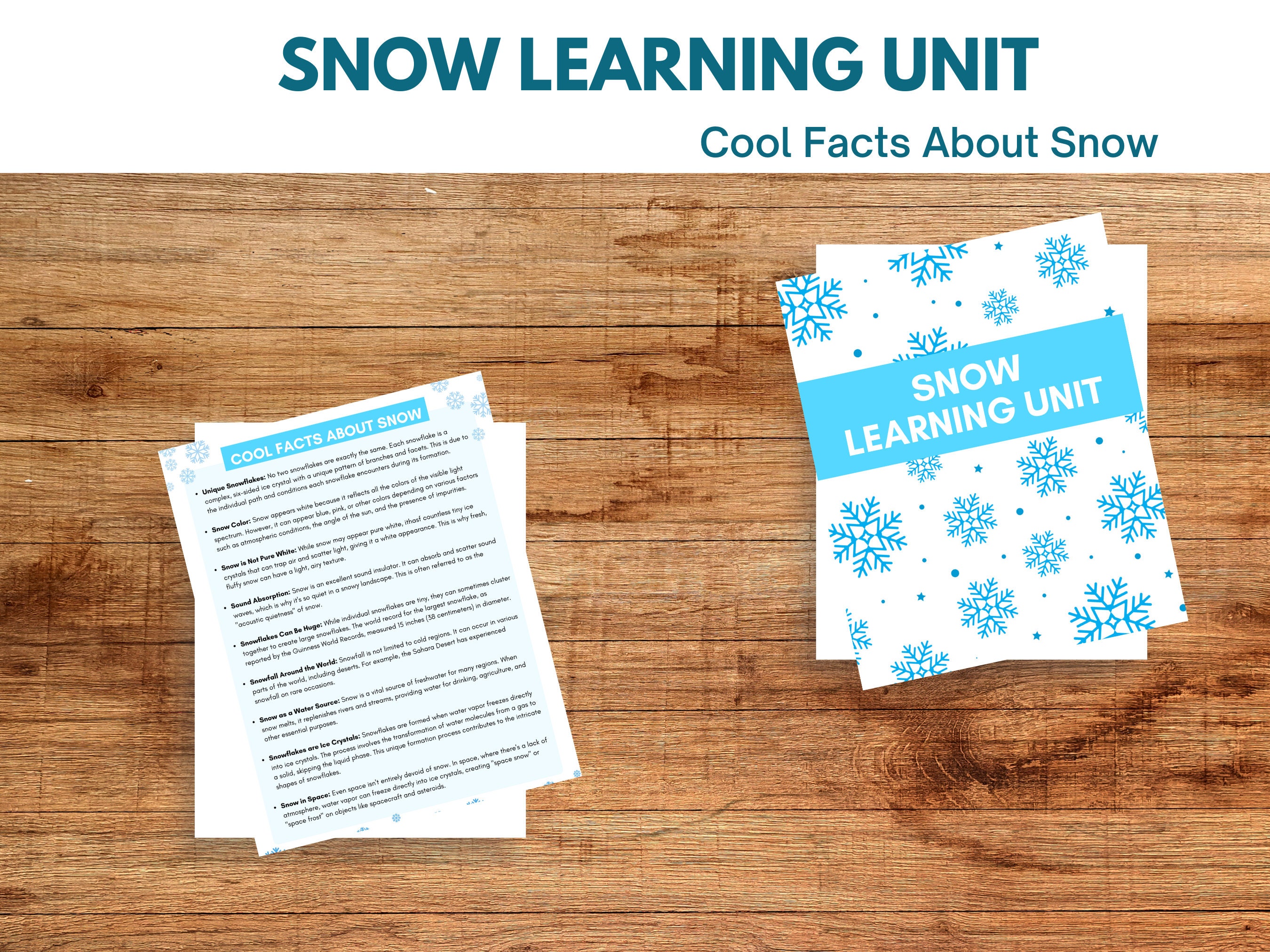 Snow Learning Unit Study, Busy Book Pages, Homeschool Unit Study ...