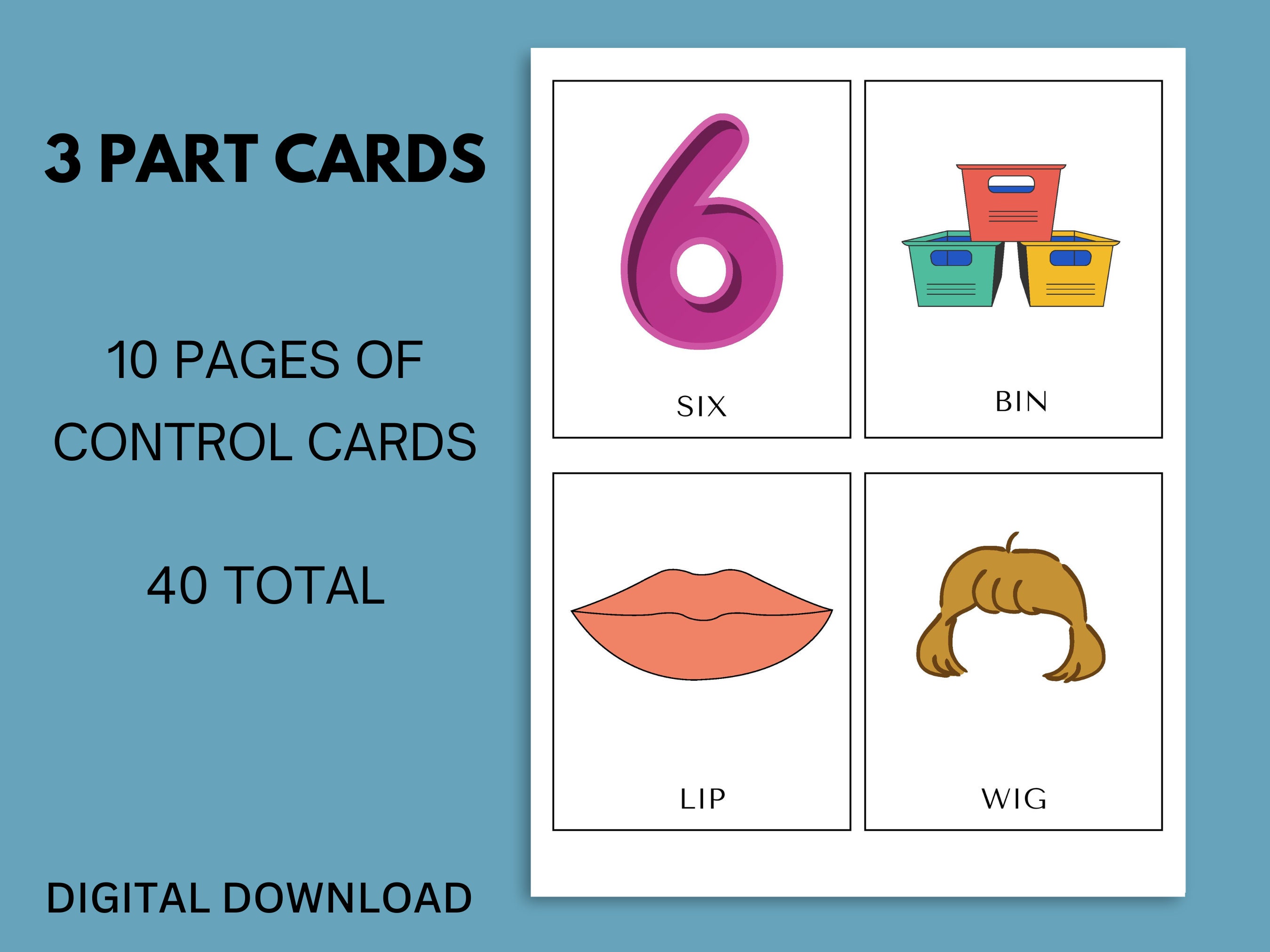 Phonetics CVC Flashcards, Preschool Curriculum Homeschool Resources, 3 ...