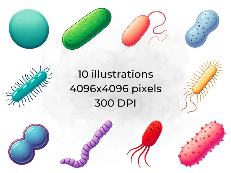 Bacteria Clipart Set, 10 Science-themed Microorganism Illustrations ...