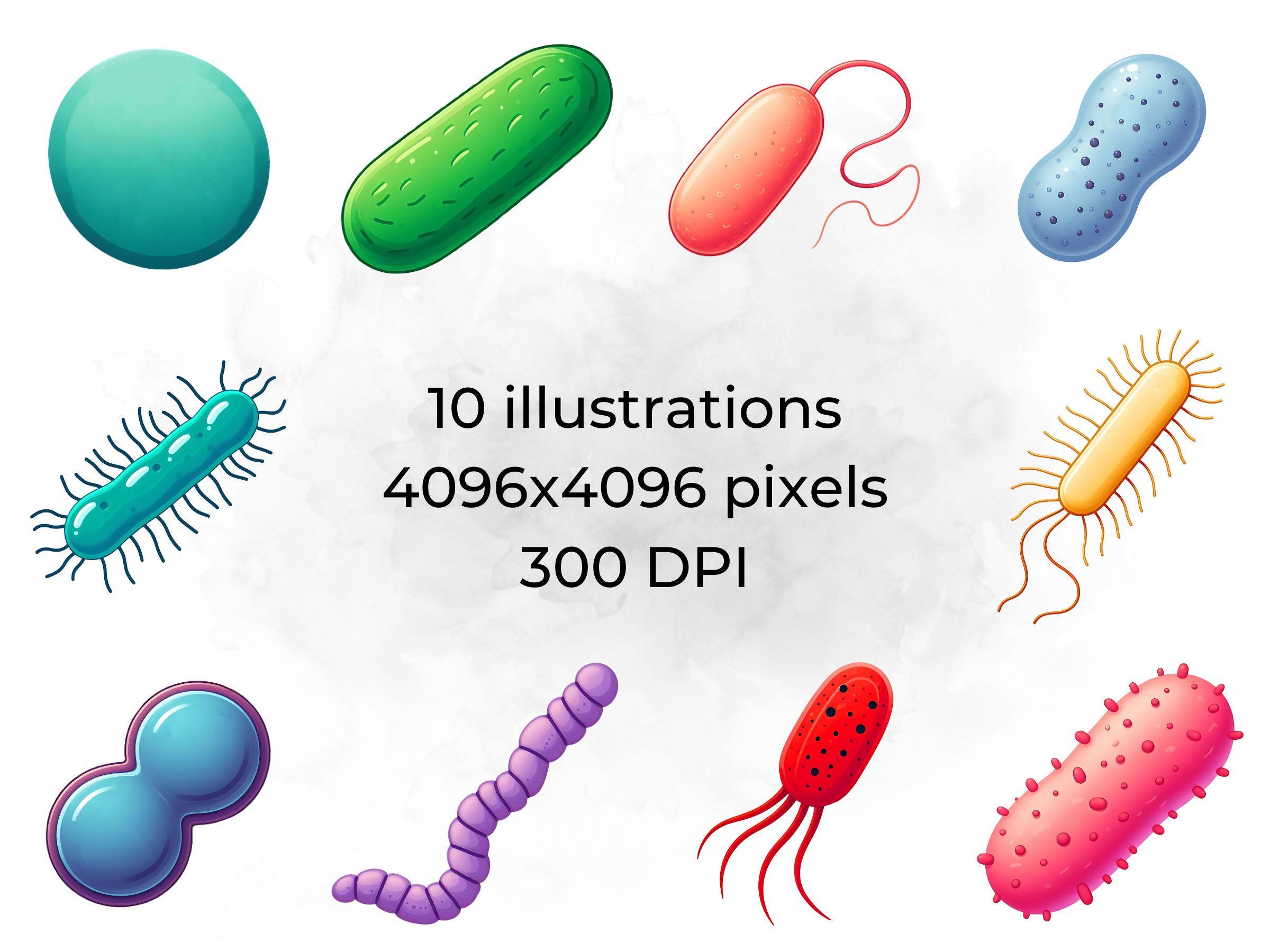 Bacteria Clipart Set, 10 Science-themed Microorganism Illustrations ...