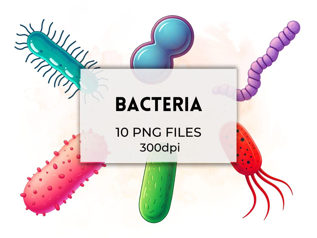 Bacteria Clipart Set, 10 Science-themed Microorganism Illustrations ...