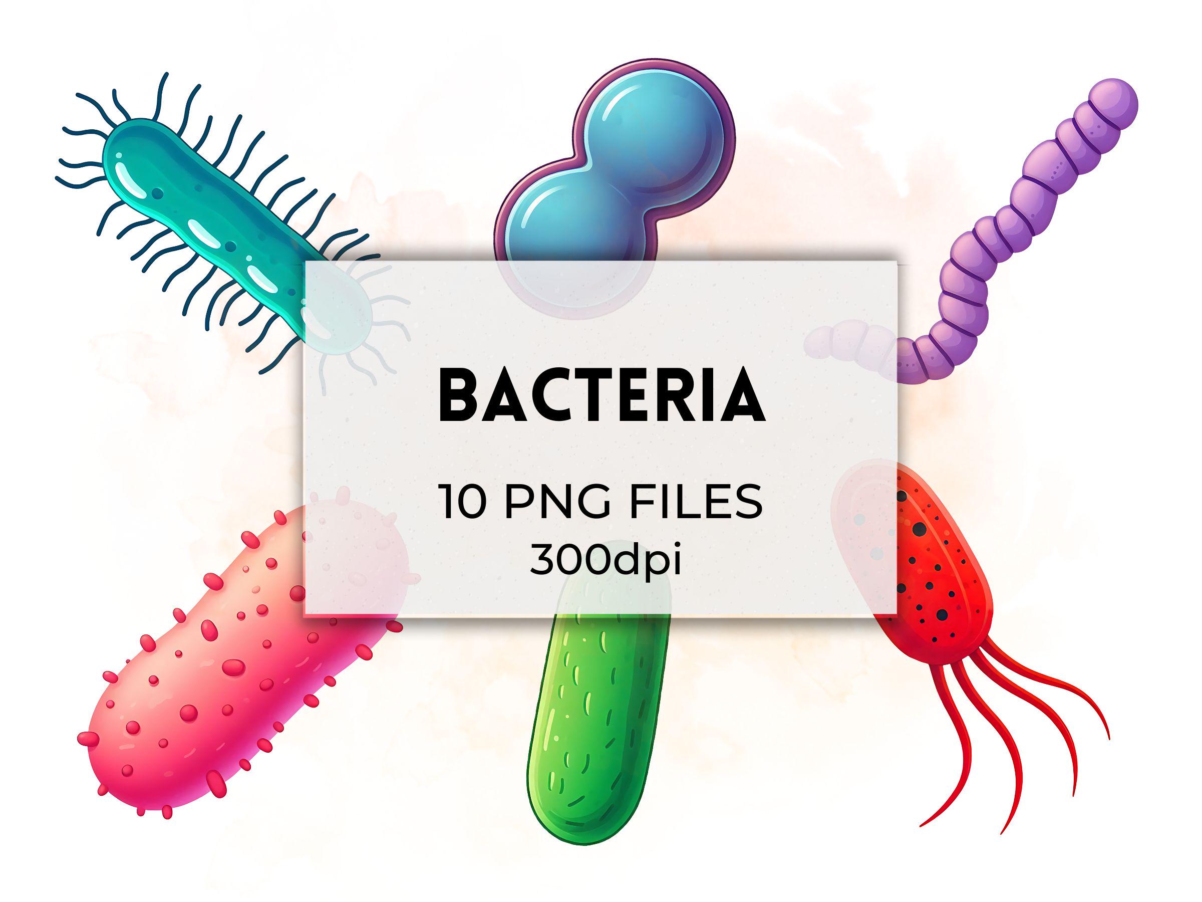 Bacteria Clipart Set, 10 Science-themed Microorganism Illustrations ...