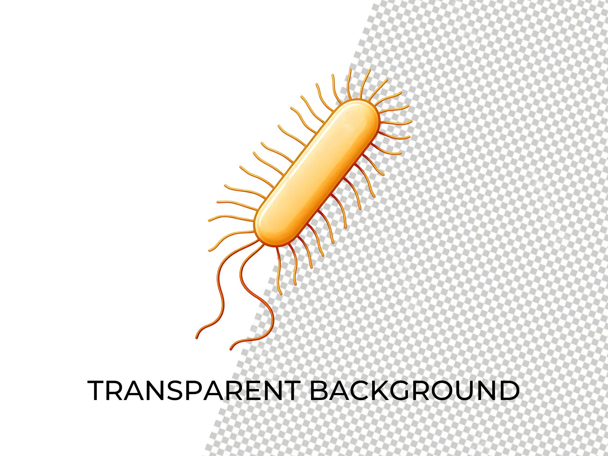 Bacteria Clipart Set, 10 Science-themed Microorganism Illustrations ...
