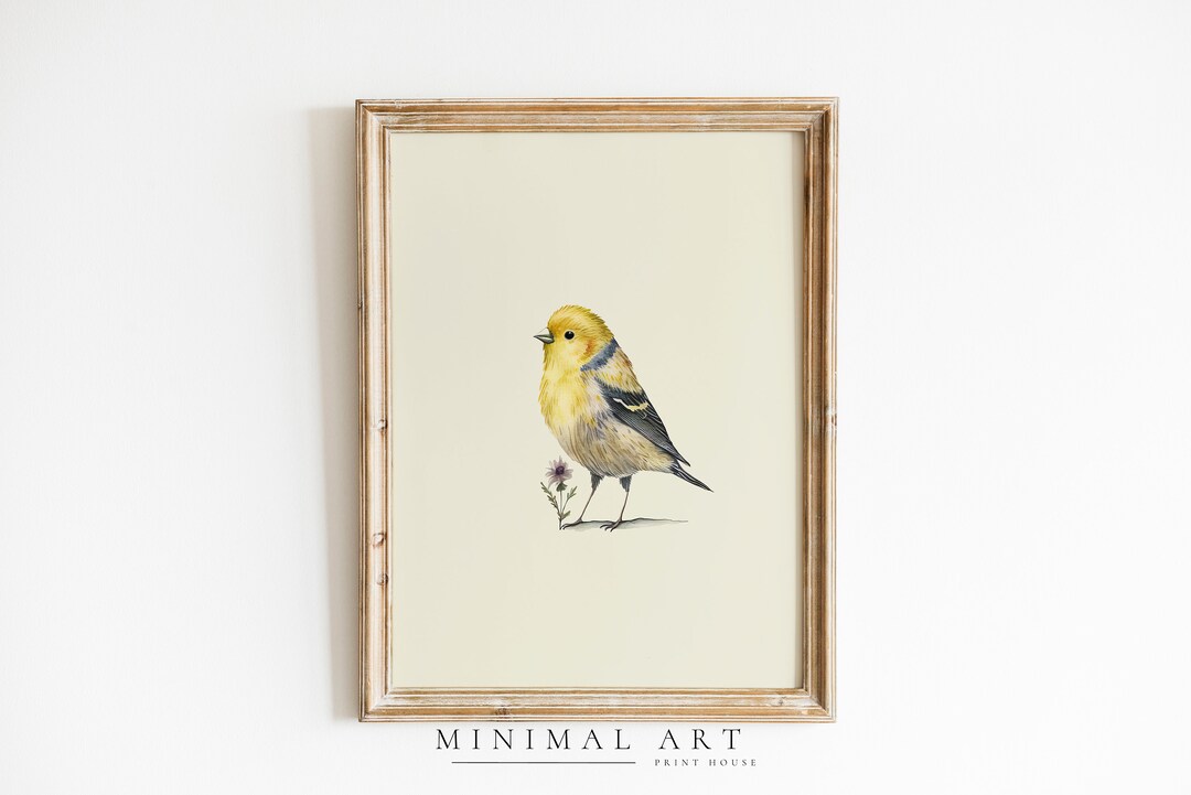 American Goldfinch, Vintage Bird Prints, Bird Prints, Bird Decor, Bird ...
