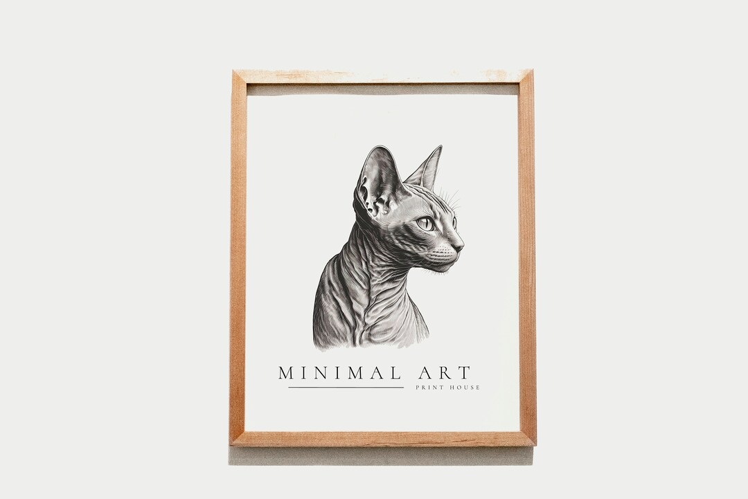 Sphynx Cat, Graphite Art, Line Art, Cat Art, Sketch Art, Black and ...
