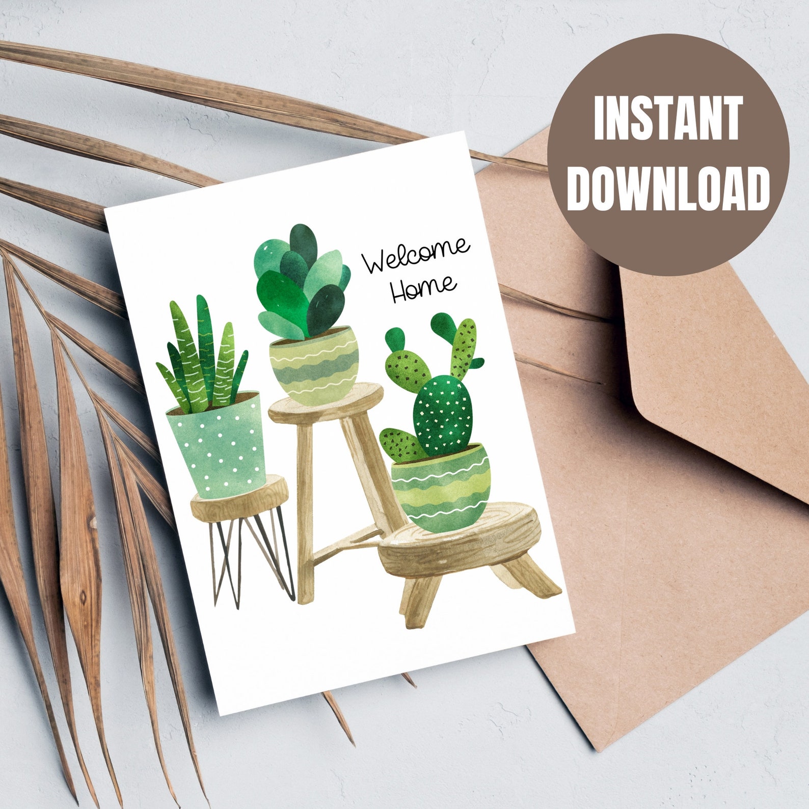 Printable Set of Four Boho House Plant and Cactus Digital - Etsy
