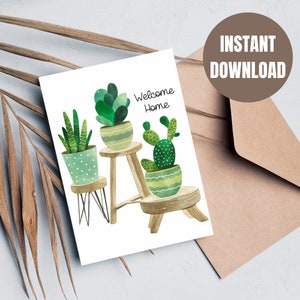 Printable Set of Four Boho House Plant and Cactus Digital Cards, 5x7 ...