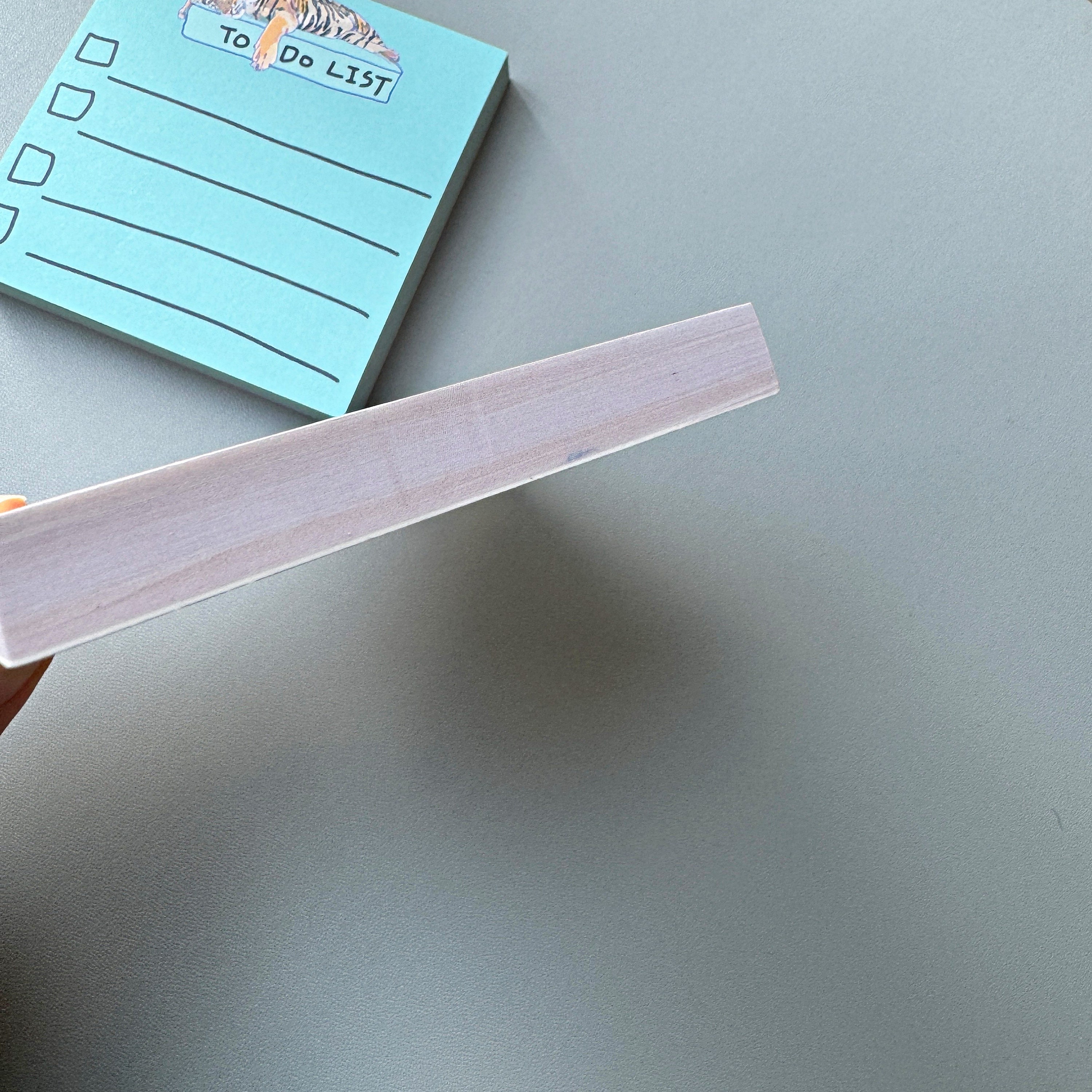 Tiger Checking Your List to Do List Small Notepad Tiger Note Checklists ...