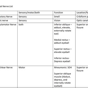Cranial Nerves Guide/function/assessment/location: ALL You Need to Know ...