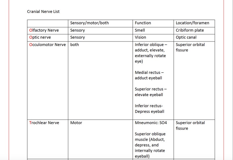 Cranial Nerves Guide/function/assessment/location: ALL You Need to Know ...