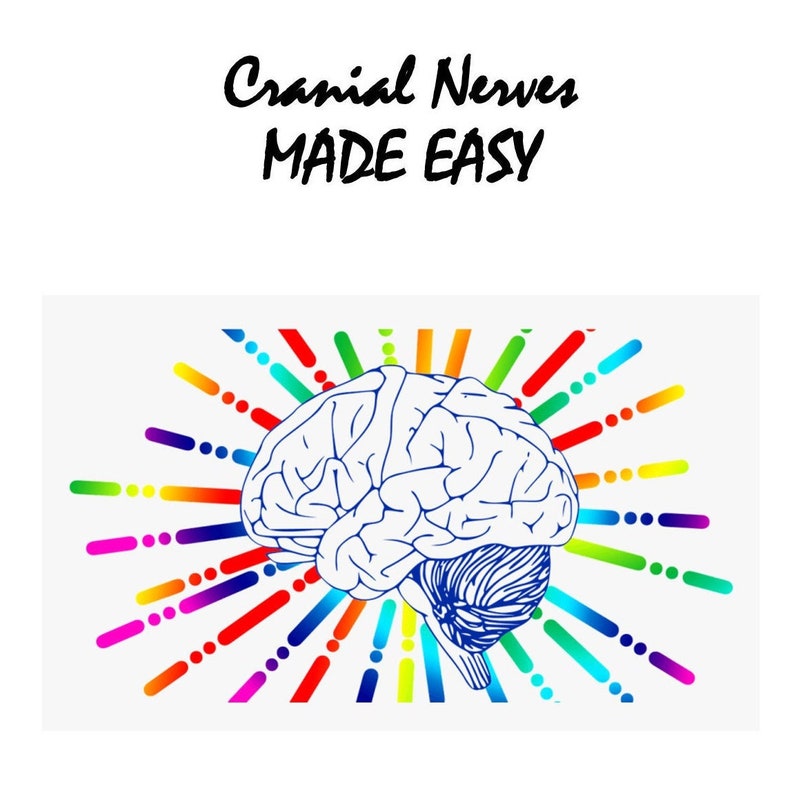 Cranial Nerves Guide/function/assessment/location: ALL You Need to Know ...
