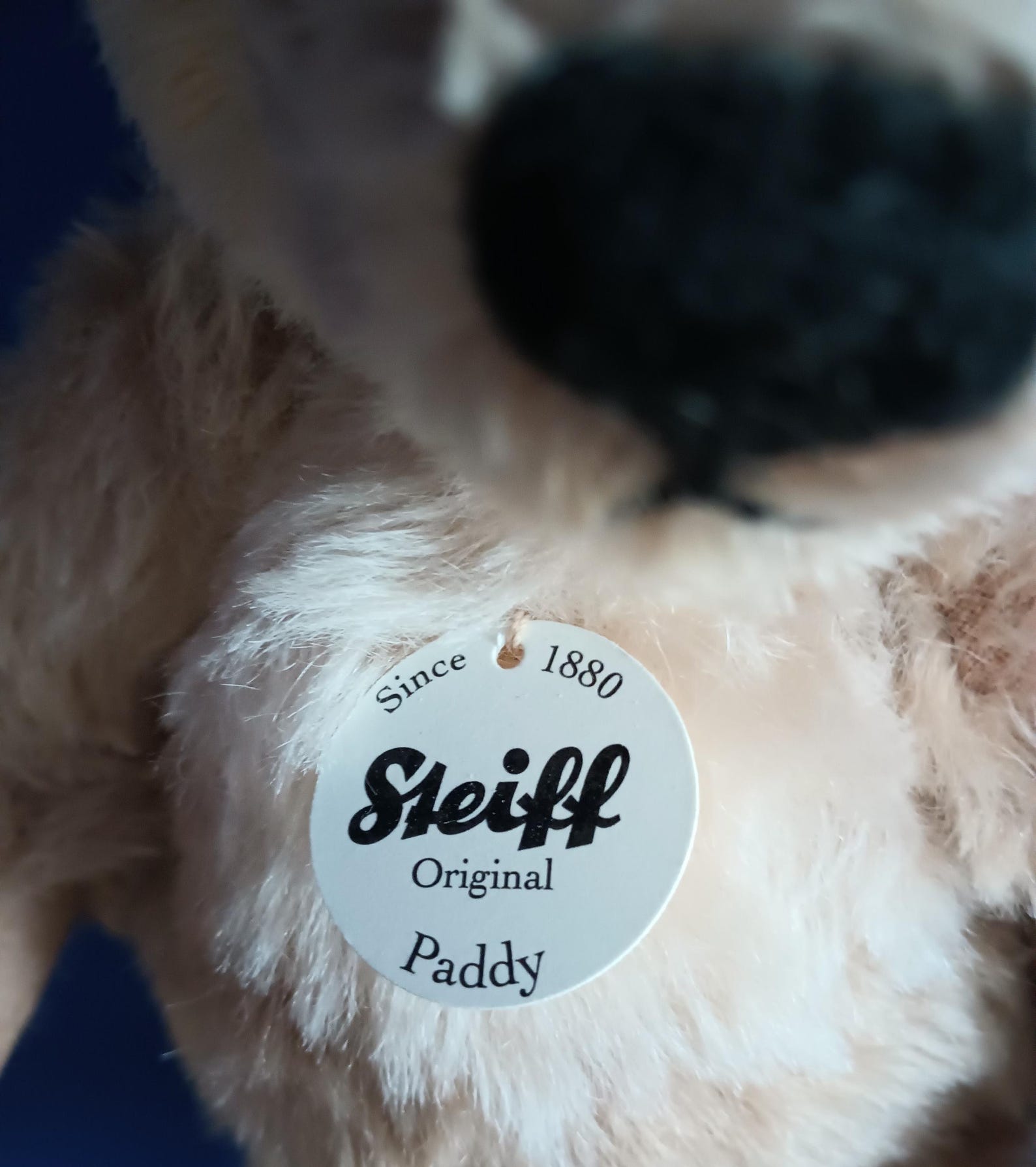 Vintage Steiff Paddy Teddy Bear 027178 - Etsy