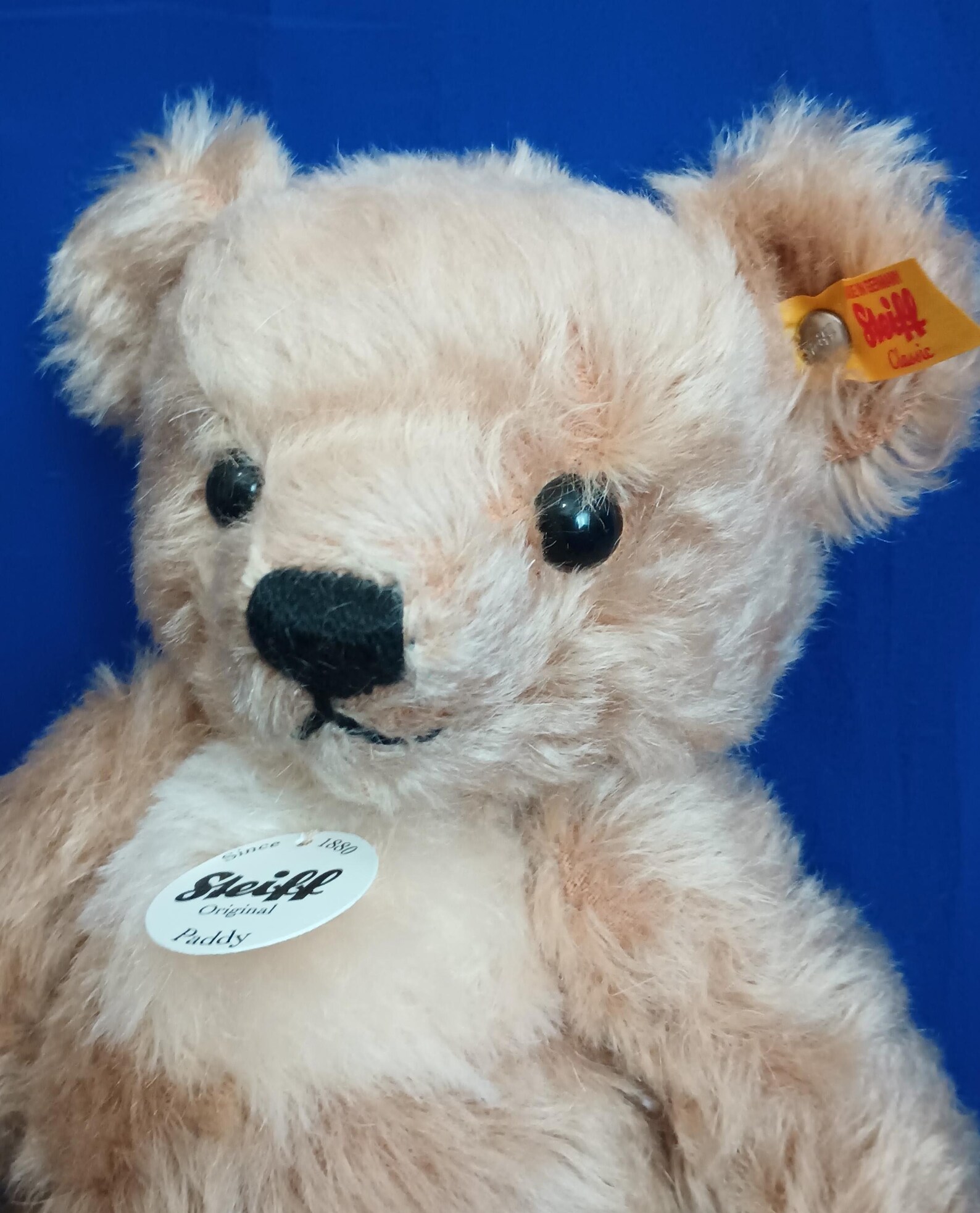 Vintage Steiff Paddy Teddy Bear 027178 - Etsy