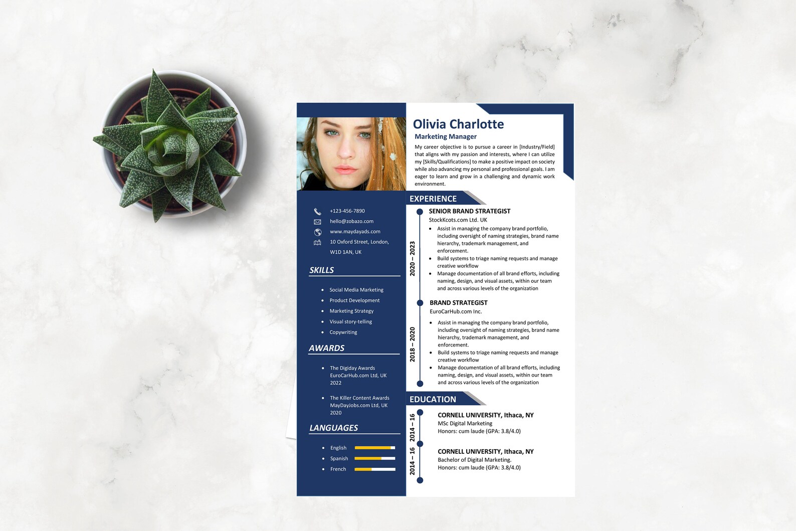 Resume Template 2023, Professional Modern Resume Template for Pages ...