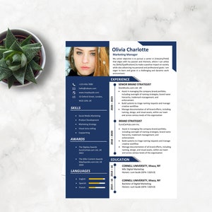 Resume Template 2023, Professional Modern Resume Template for Pages ...