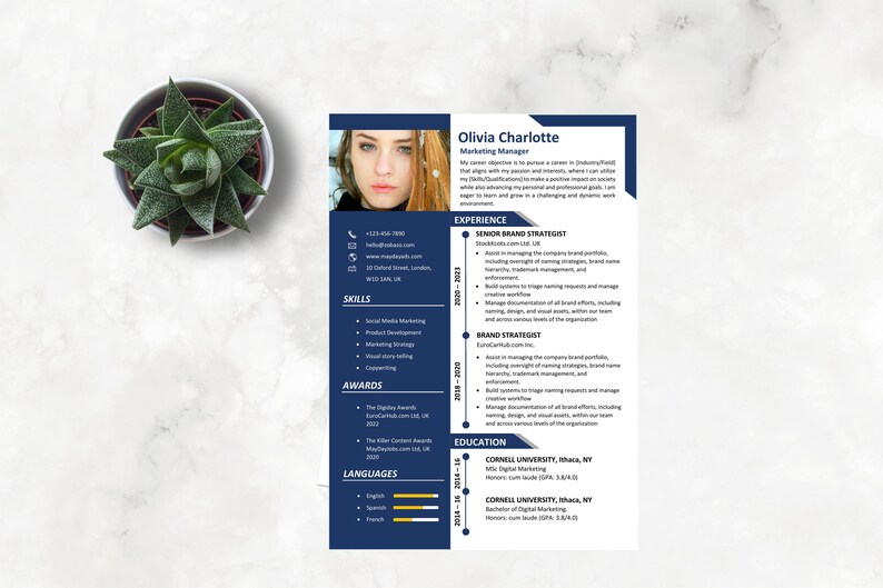Resume Template 2023, Professional Modern Resume Template for Pages ...