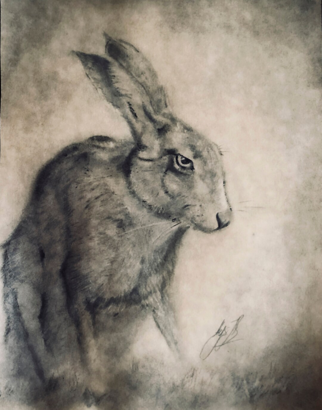 Olde Hare Drawing Art Print: Signed Limited Edition on Antique ...