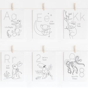 Alphabet Flash Cards | ABC & 123 Coloring and Letter Tracing Activity ...