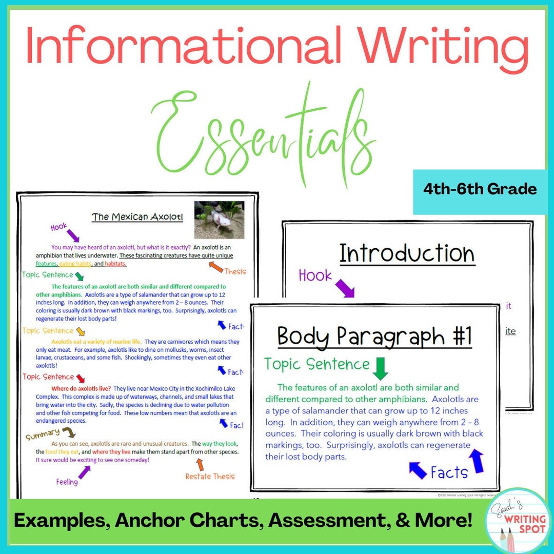 How to Write an Informational Essay - Etsy