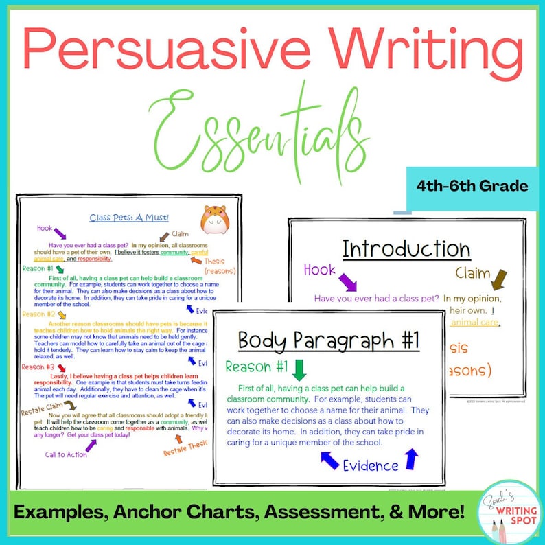 Persuasive Essay Example - Etsy