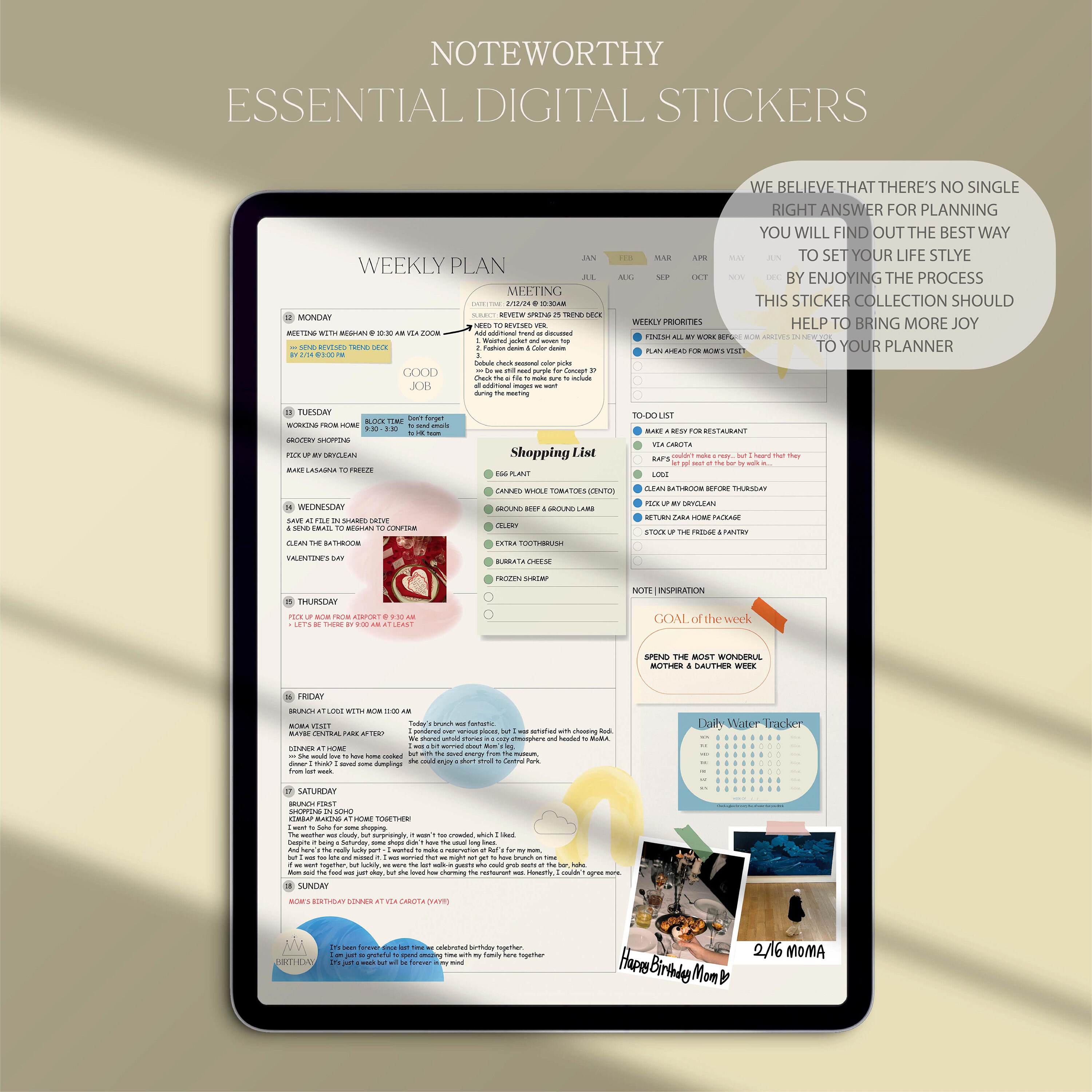 Soft Color DIGITAL STICKERS Goodnotes Stickers Precropped Stickers iPad ...