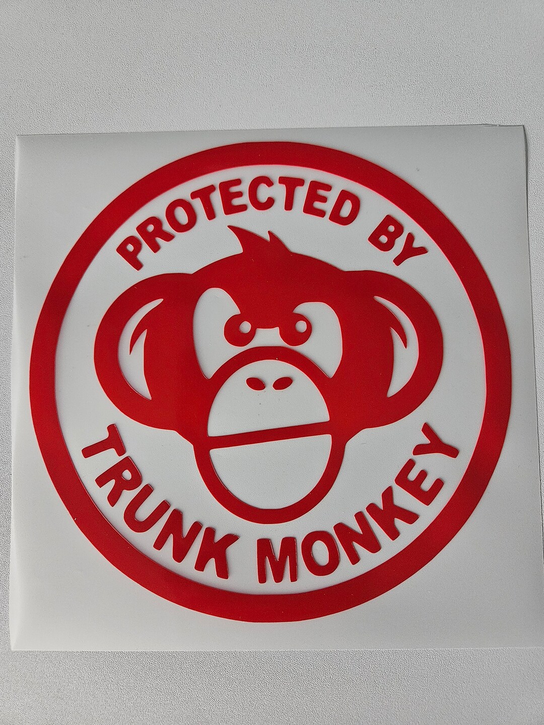6x6 Vinyl Decal for Windows - Etsy