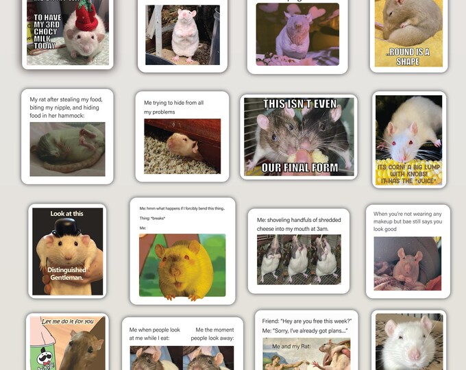 Rat Meme Stickers - Etsy