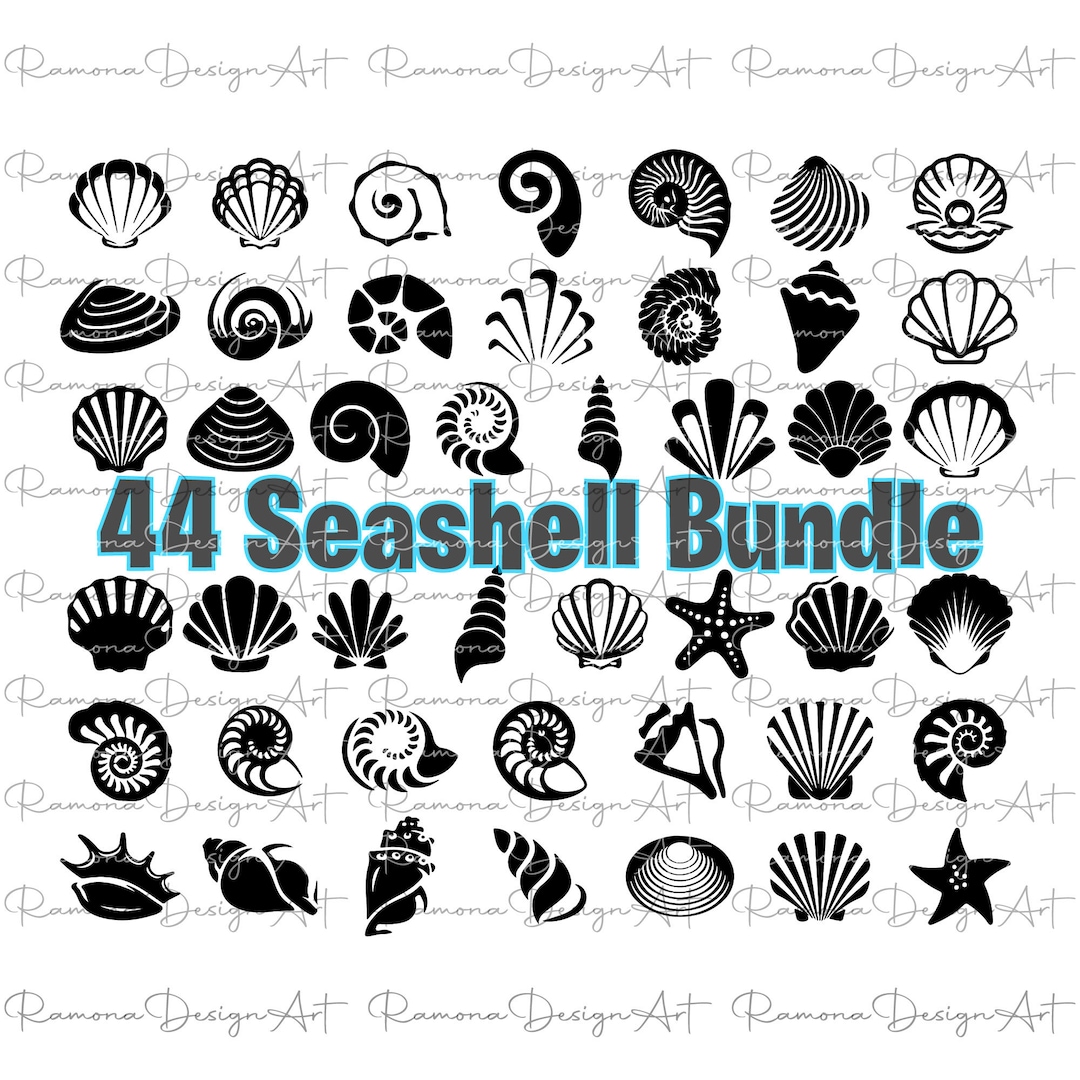 Seashell SVG - Seashells Svg - Seashell Svg File - Ocean Svg - Marine ...