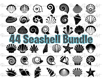 Clam Shell - Etsy