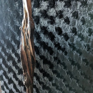 Walking Stick - Etsy