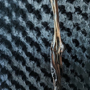 Walking Stick - Etsy