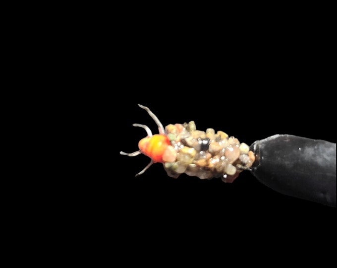 Stone-cased Caddis Fly - Etsy