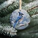 Blue Jay Christmas Ornament Sublimation, Bird Christmas Decor ...