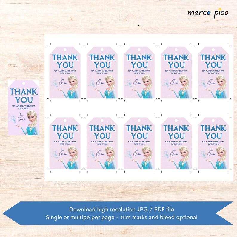 Frozen Themed Party Favors Tags, Princess Elsa Birthday Thank You Label ...