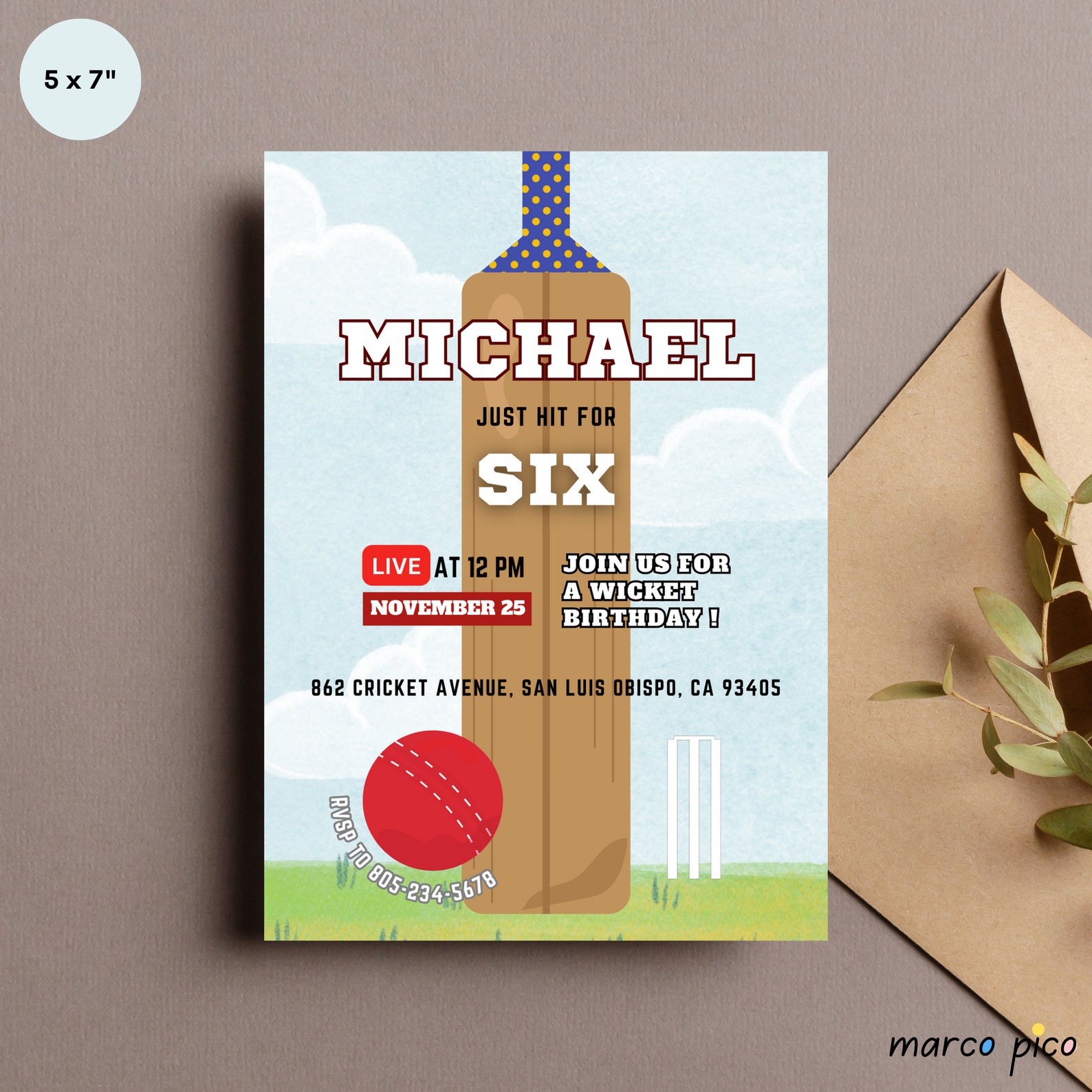 Backyard Cricket Themed Birthday Invitation Template Editable - Etsy