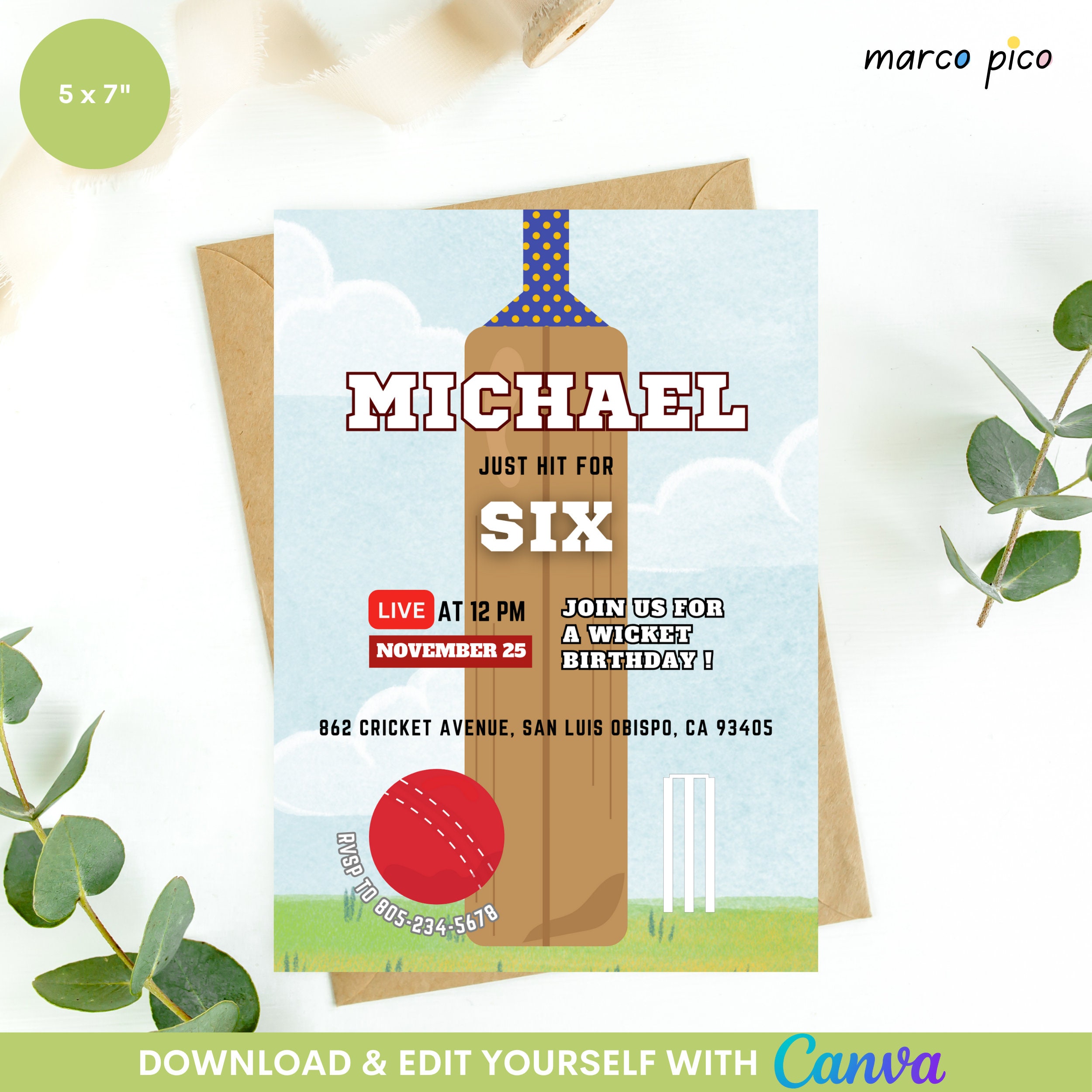 Backyard Cricket Themed Birthday Invitation Template, Editable Cricket ...