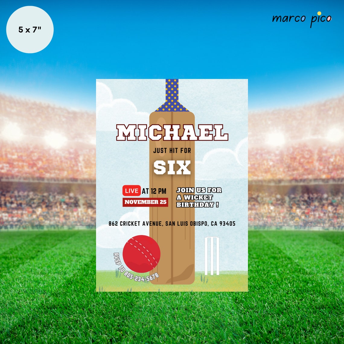 Backyard Cricket Themed Birthday Invitation Template Editable - Etsy