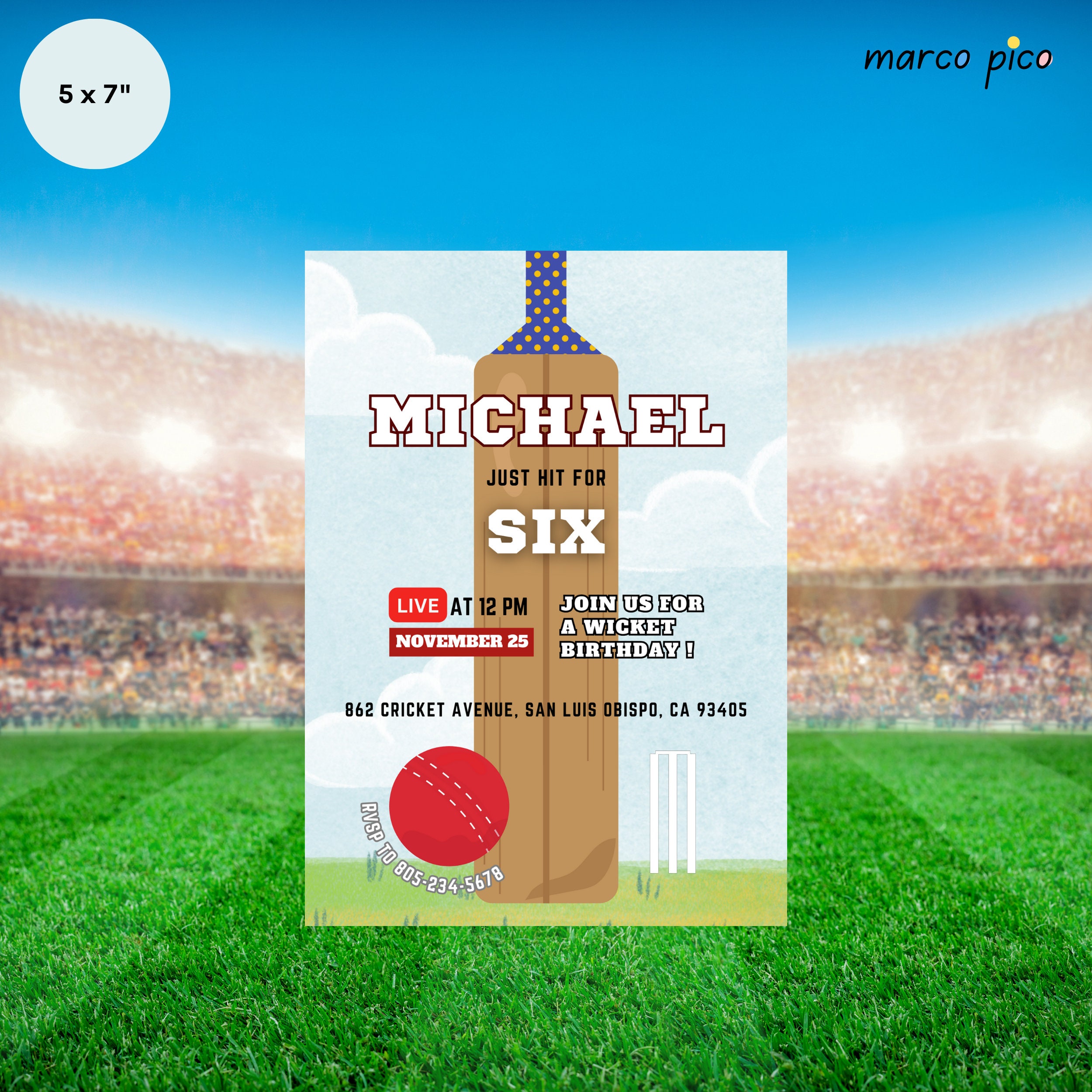 Backyard Cricket Themed Birthday Invitation Template Editable - Etsy